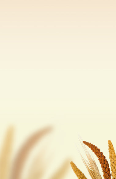 Raashan - Nourishing Your Health with Millet-Based Goodness – Raashan ...